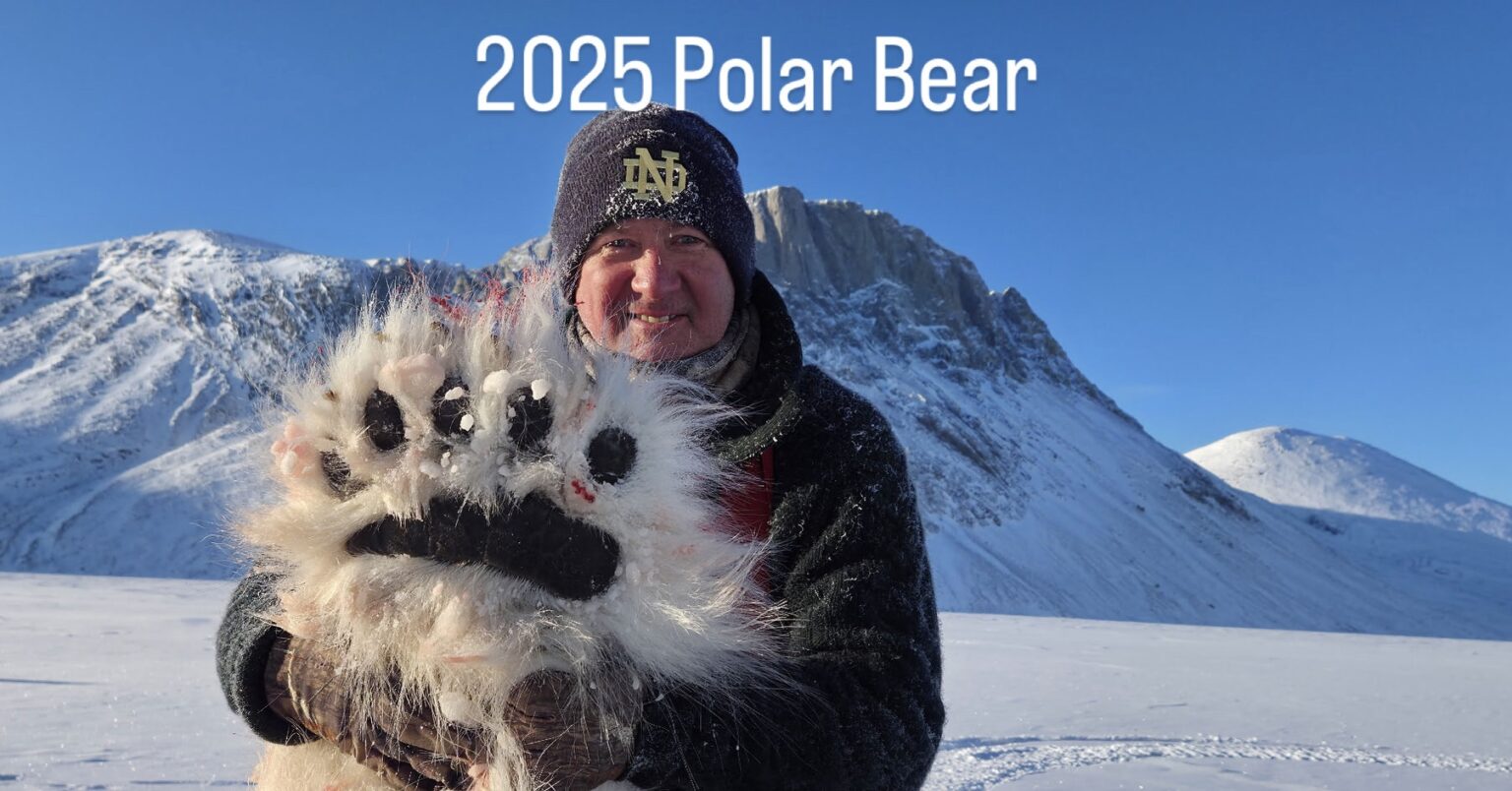 Polar Bear Hunt 2027 – Dispatch Hunts